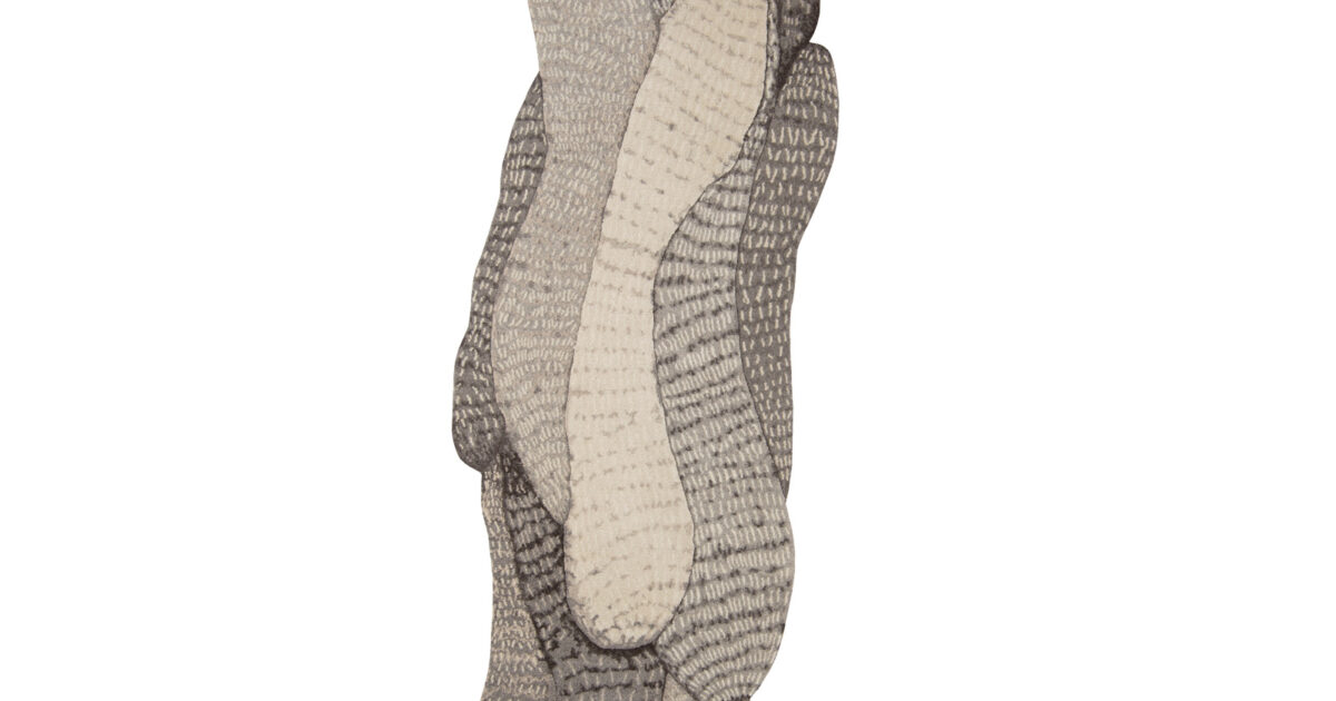 santiccioli.com | cc-tapis Swarm Runner