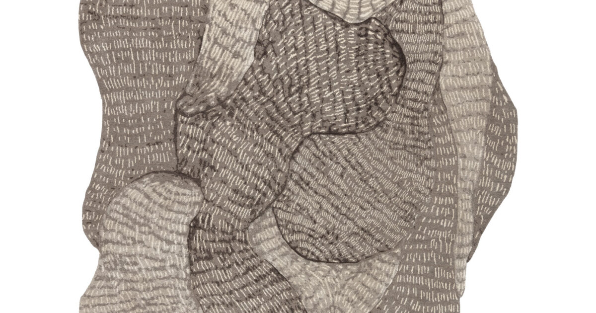 santiccioli.com | cc-tapis Swarm