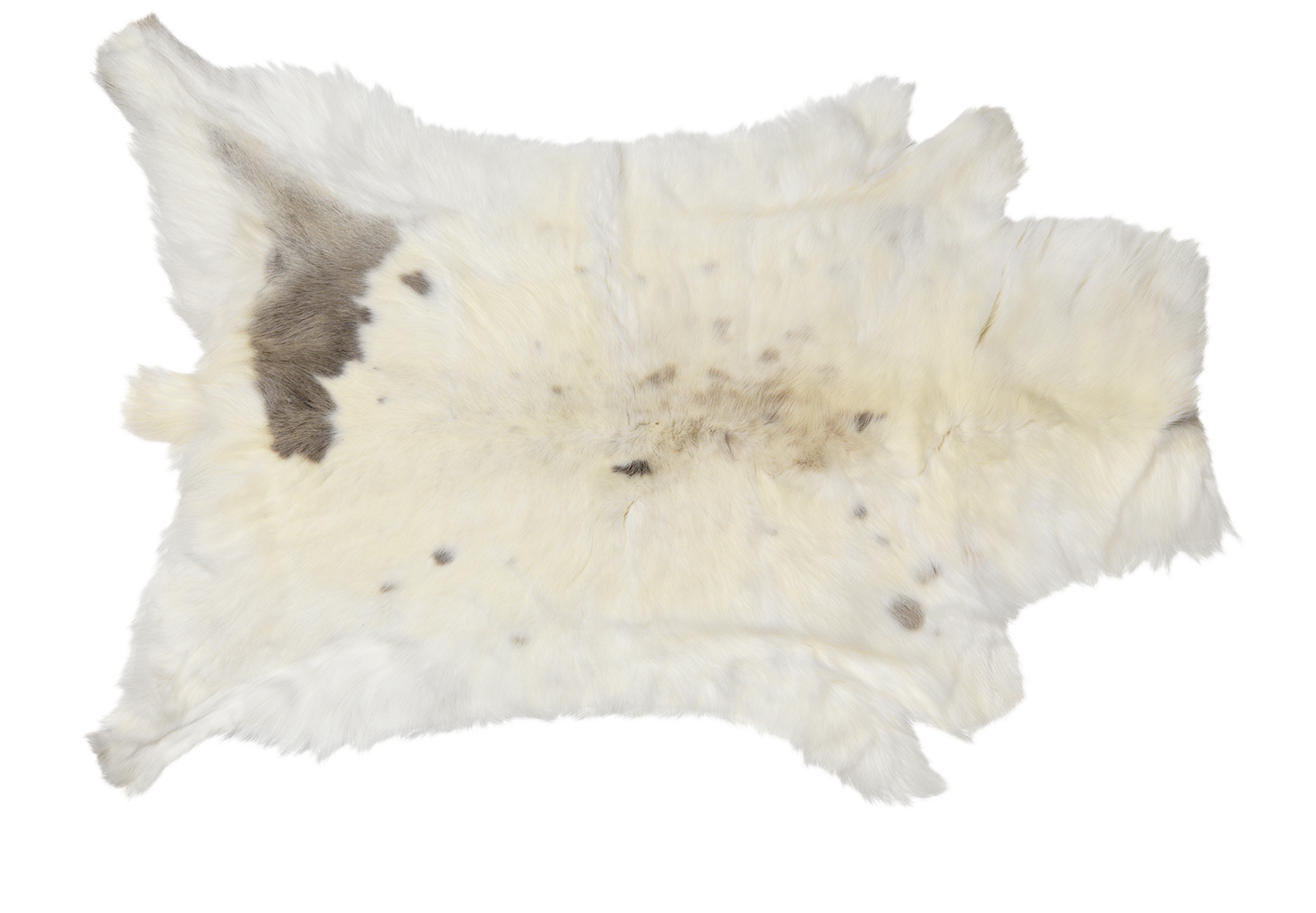 santiccioli.com | Carl Hansen & Søn Reindeer Skin | Skin from Lapland