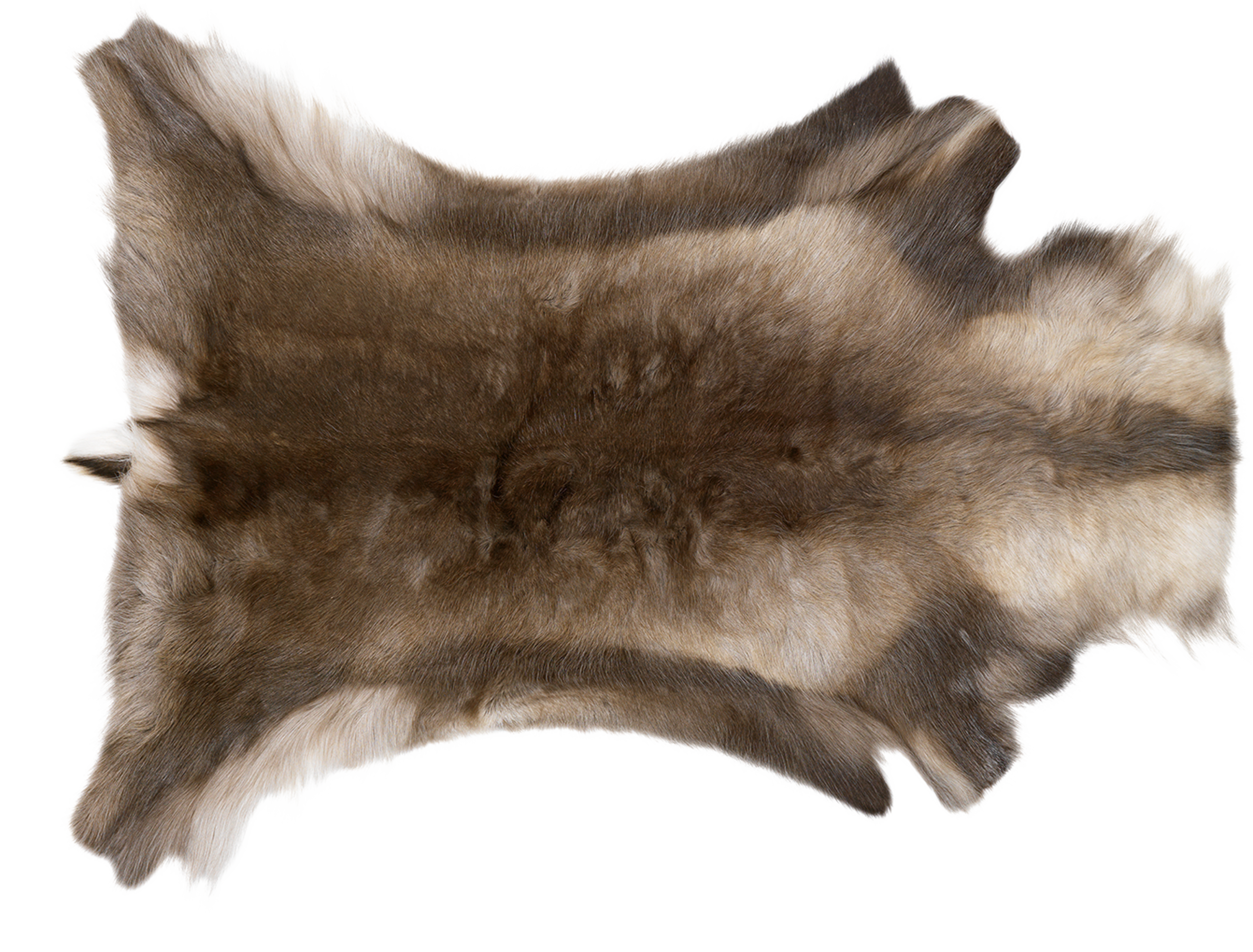 santiccioli.com | Carl Hansen & Søn Reindeer Skin | Skin from Lapland